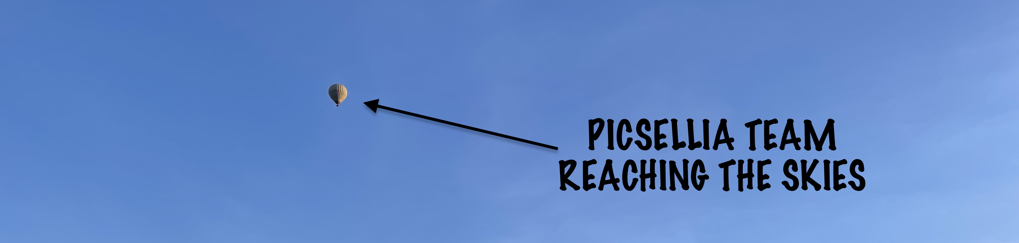 The Art of Annotation: Lessons Learned From a Picsellia Annotation Campaign — Picsellia